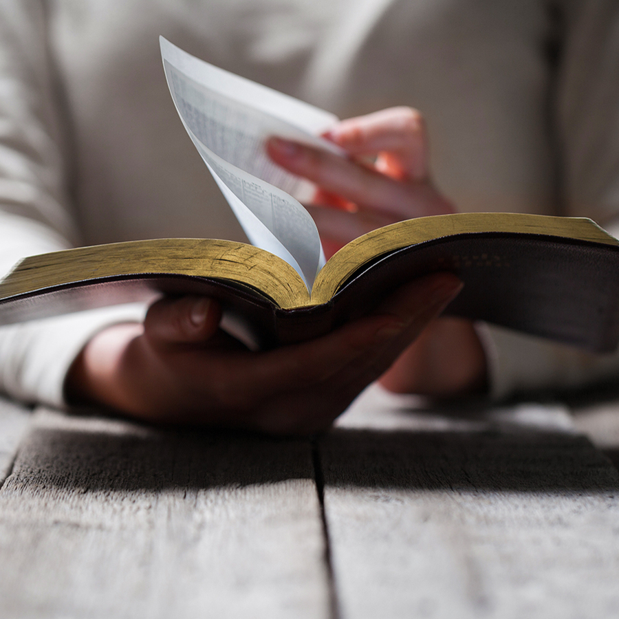 How to Read the Bible for Yourself | Desiring God